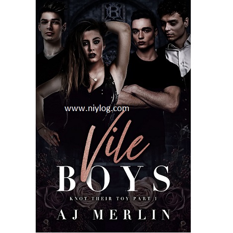 VILE BOYS BY AJ MERLIN PDF Download - Niylog